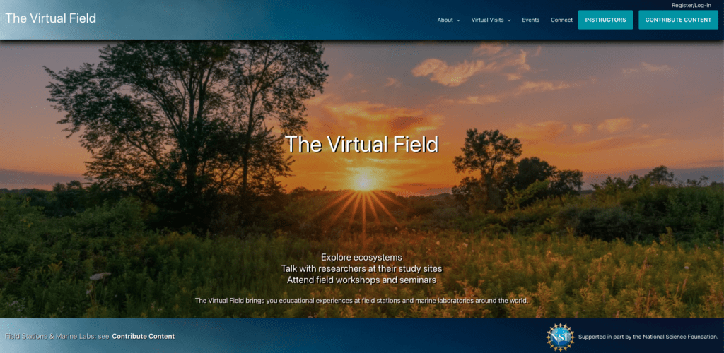 The Virtual Field – OBFS
