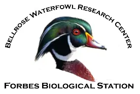 Field Stations – OBFS