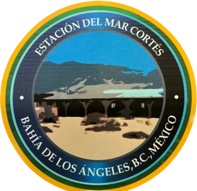 Field Stations – OBFS