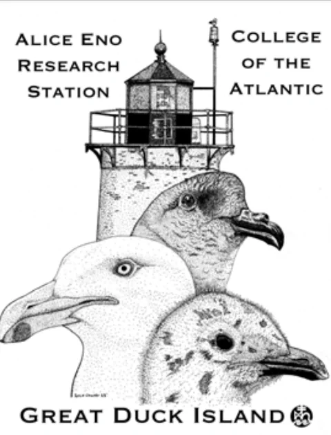 Field Stations – OBFS