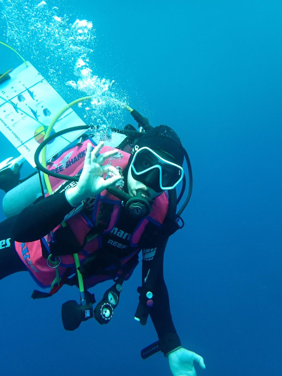 Bermuda Institute of Ocean Sciences – OBFS