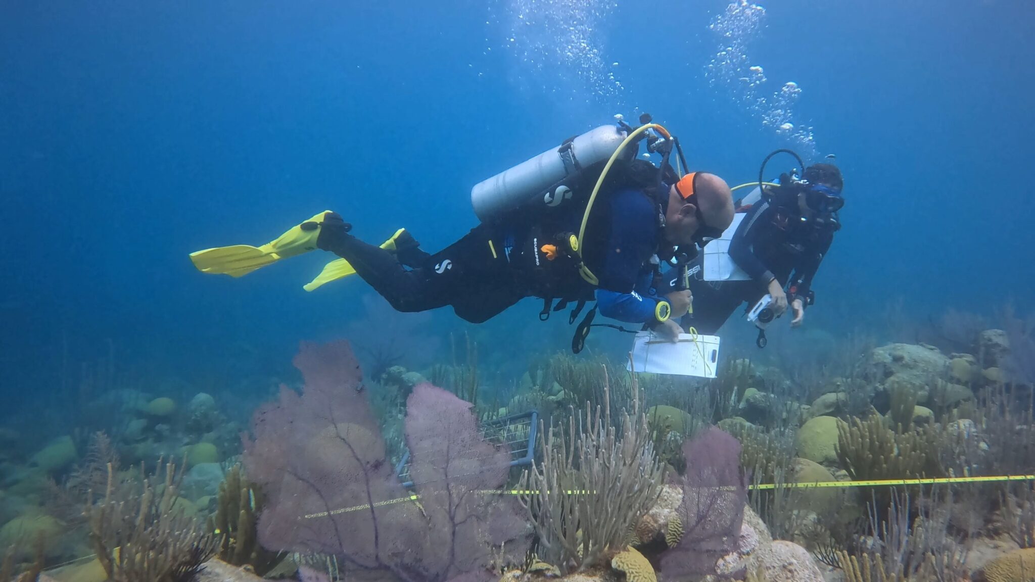 Bermuda Institute of Ocean Sciences – OBFS